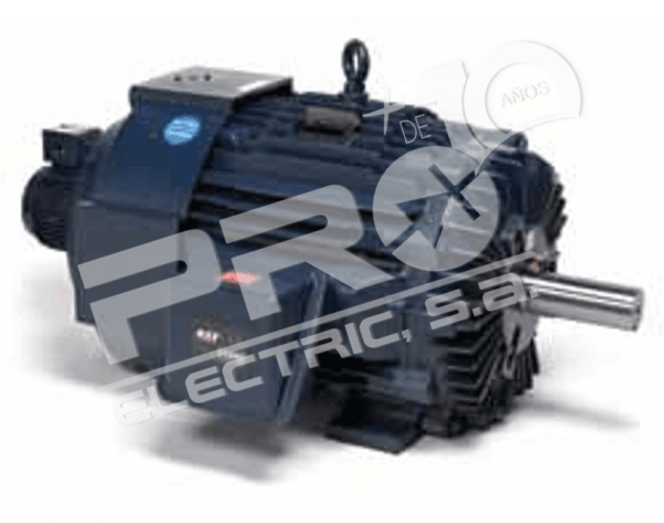 MOTOR 40HP Y513 - PROELECTRIC